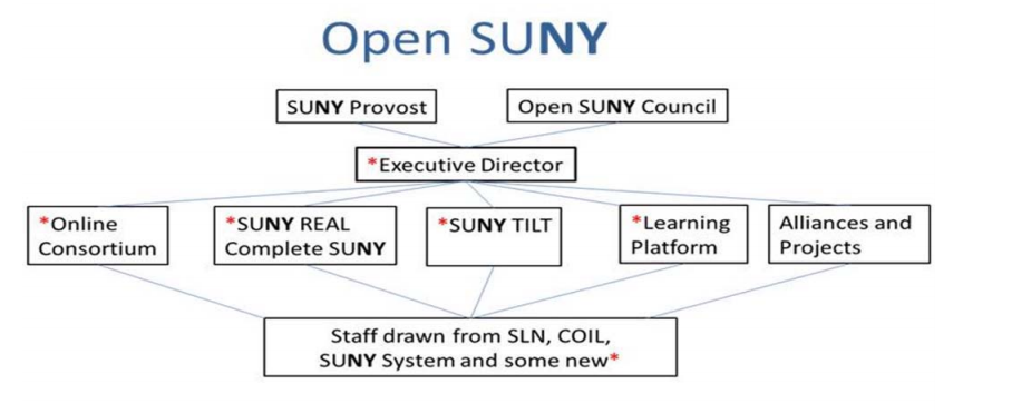 Open SUNY Structure